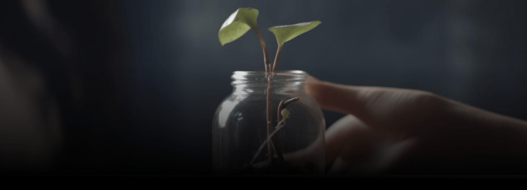 SISFS: Startup India Seed Fund Scheme - Deshpande Startups